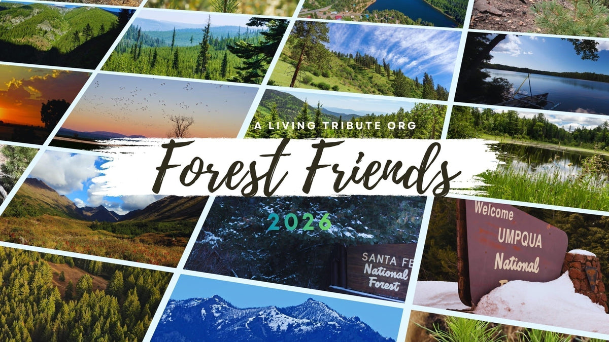 Forest Friends 2026 | A Living Tribute