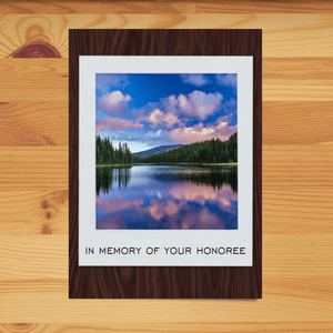 Tree Planting in a US National Forest with Mailed Commemorative Card ...