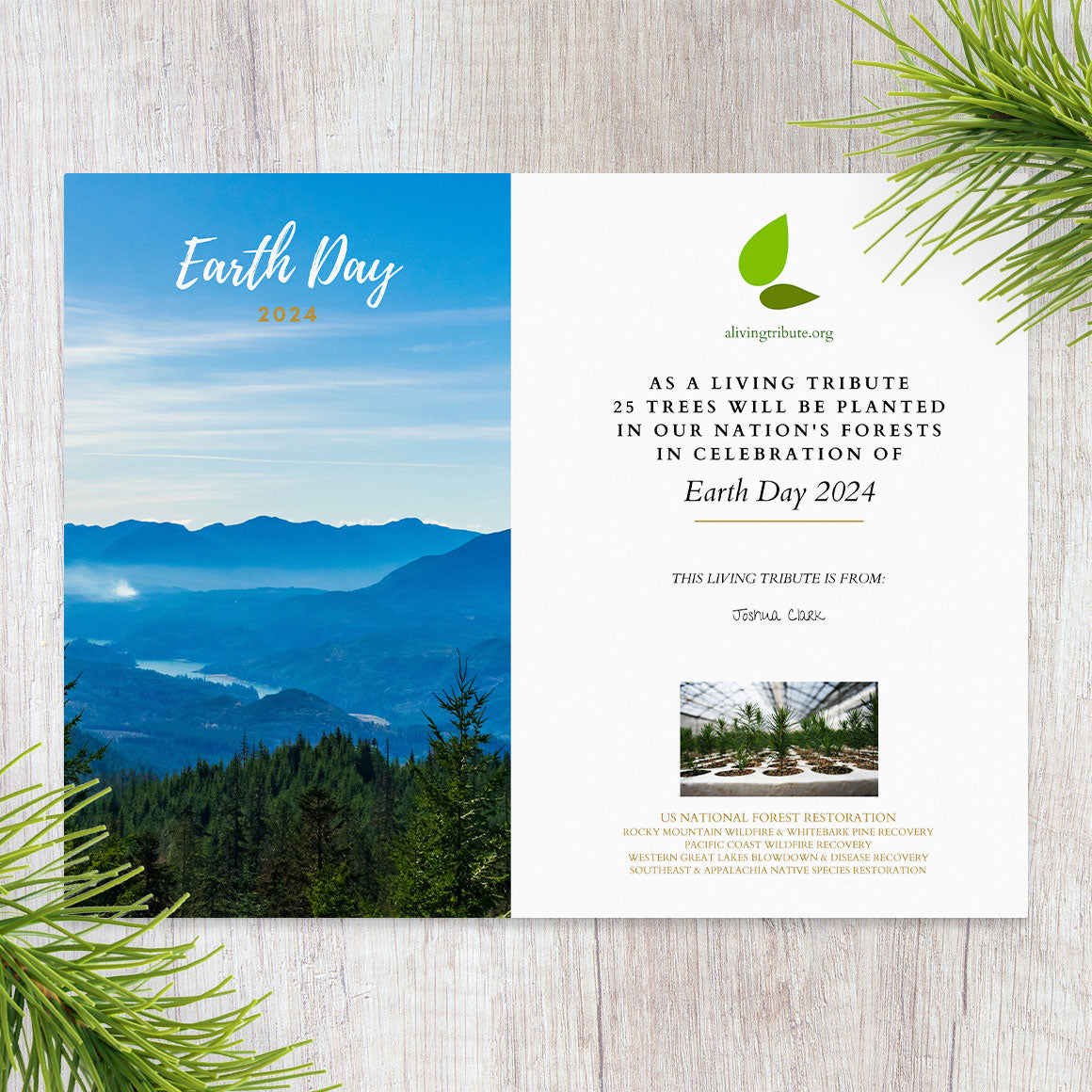 Plant a Tree by Card Style | A Living Tribute