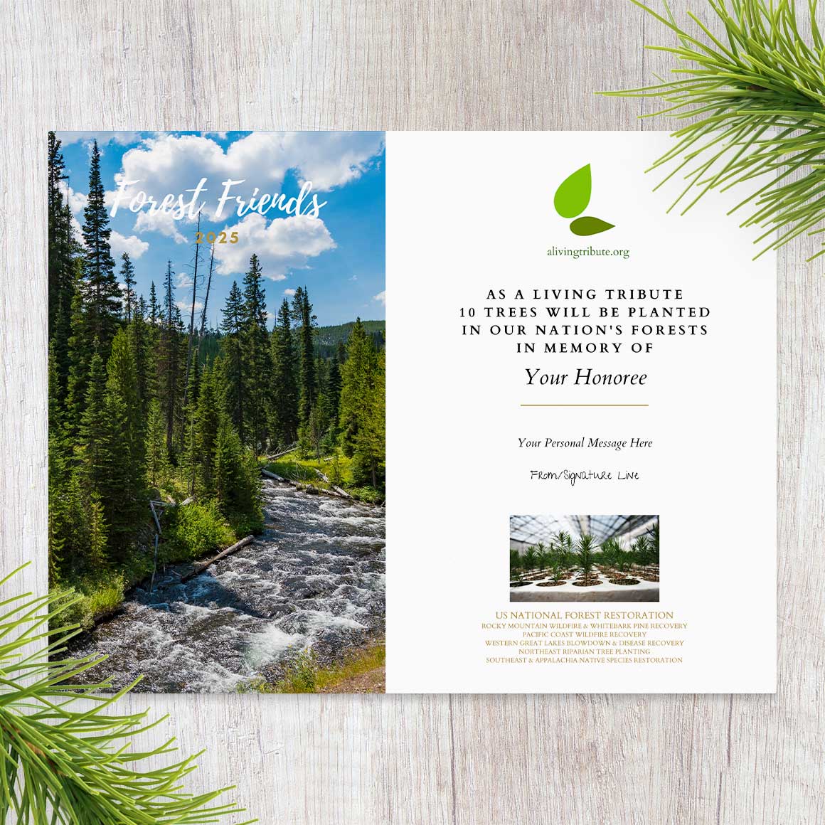 Forest Friends Tree Planting Gift - A Living Tribute | A Living Tribute