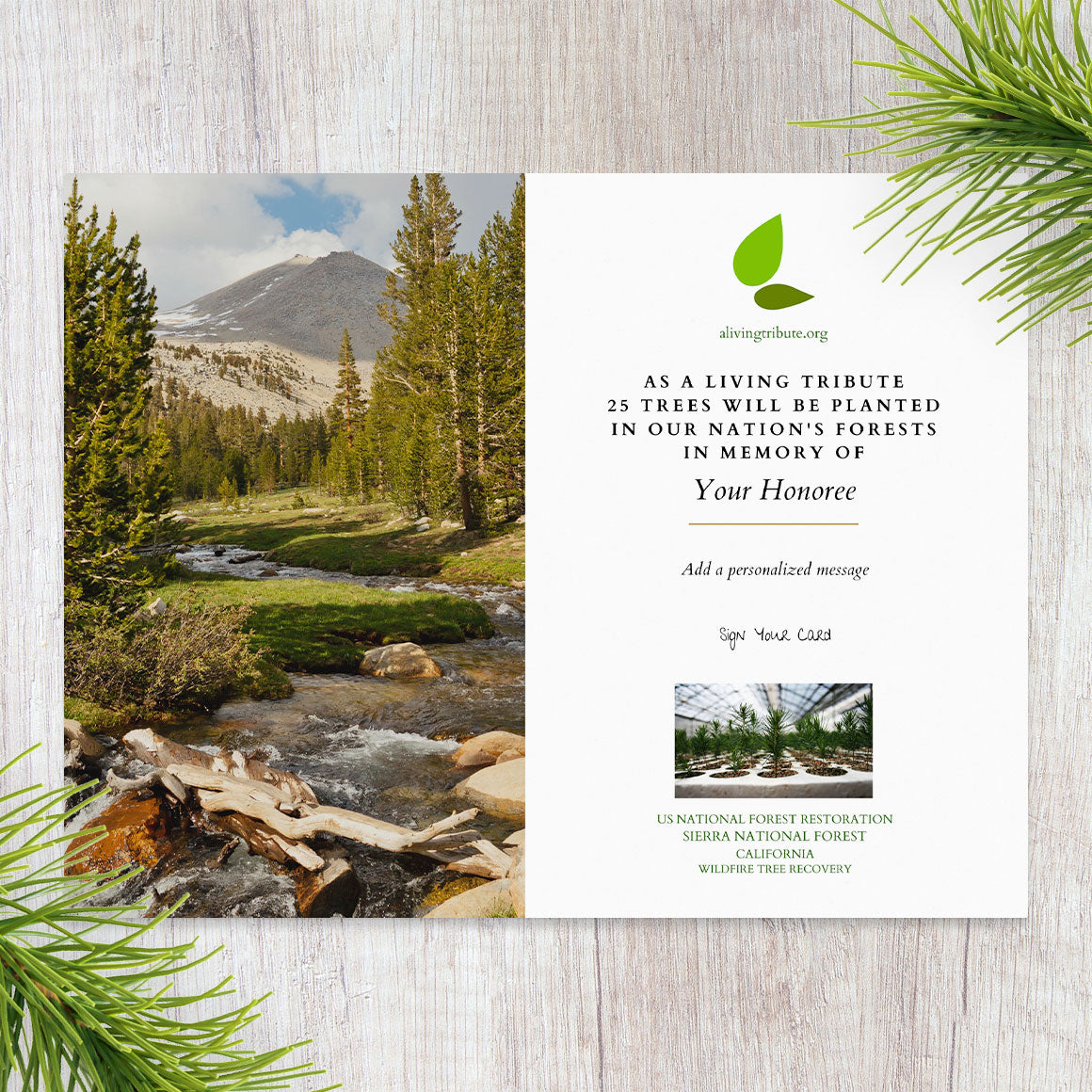 Plant a Tree in Honor or Memory in a California National Forest - A Li ...