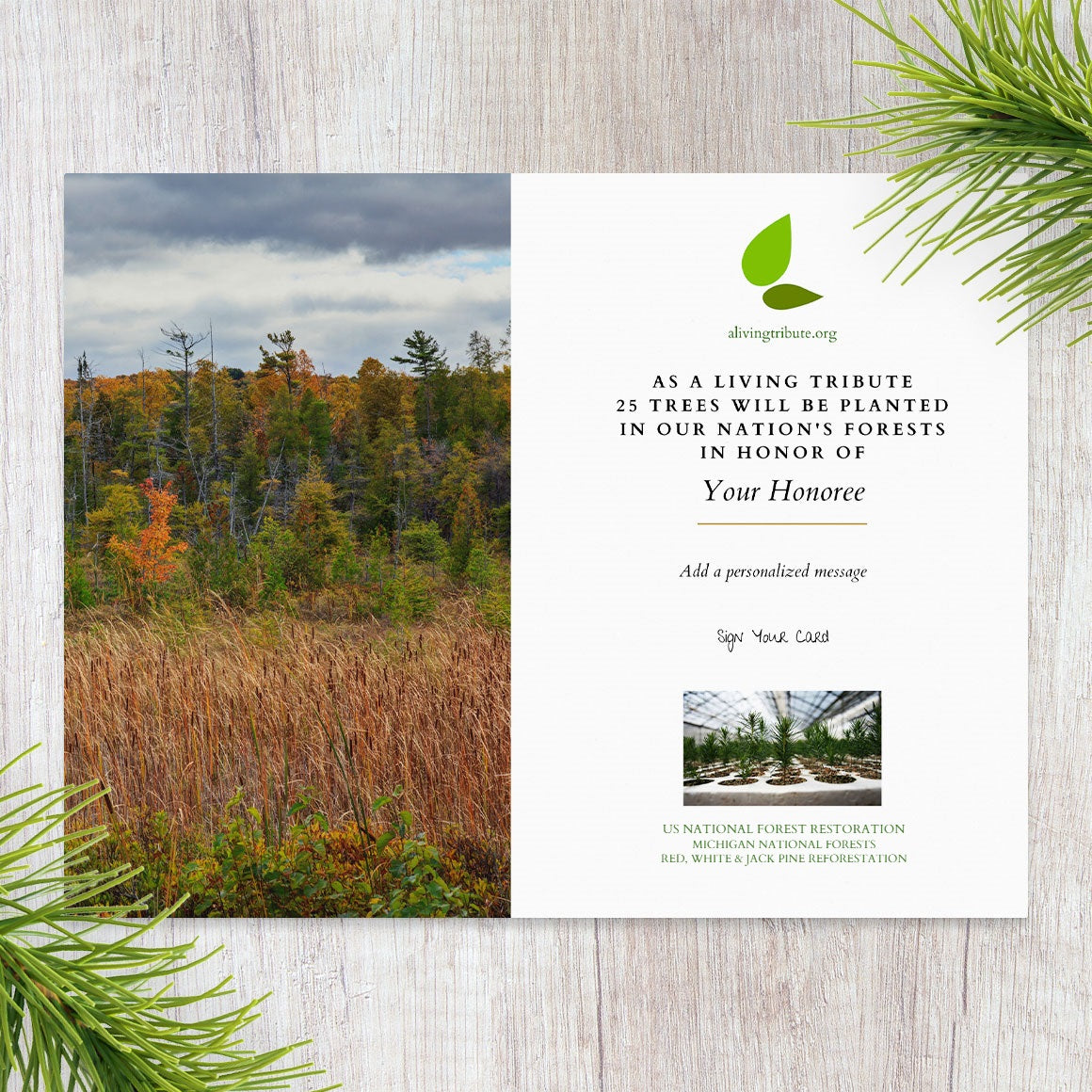 Plant a Tree for Someone in Michigan - Memorial & Tribute Trees | A ...