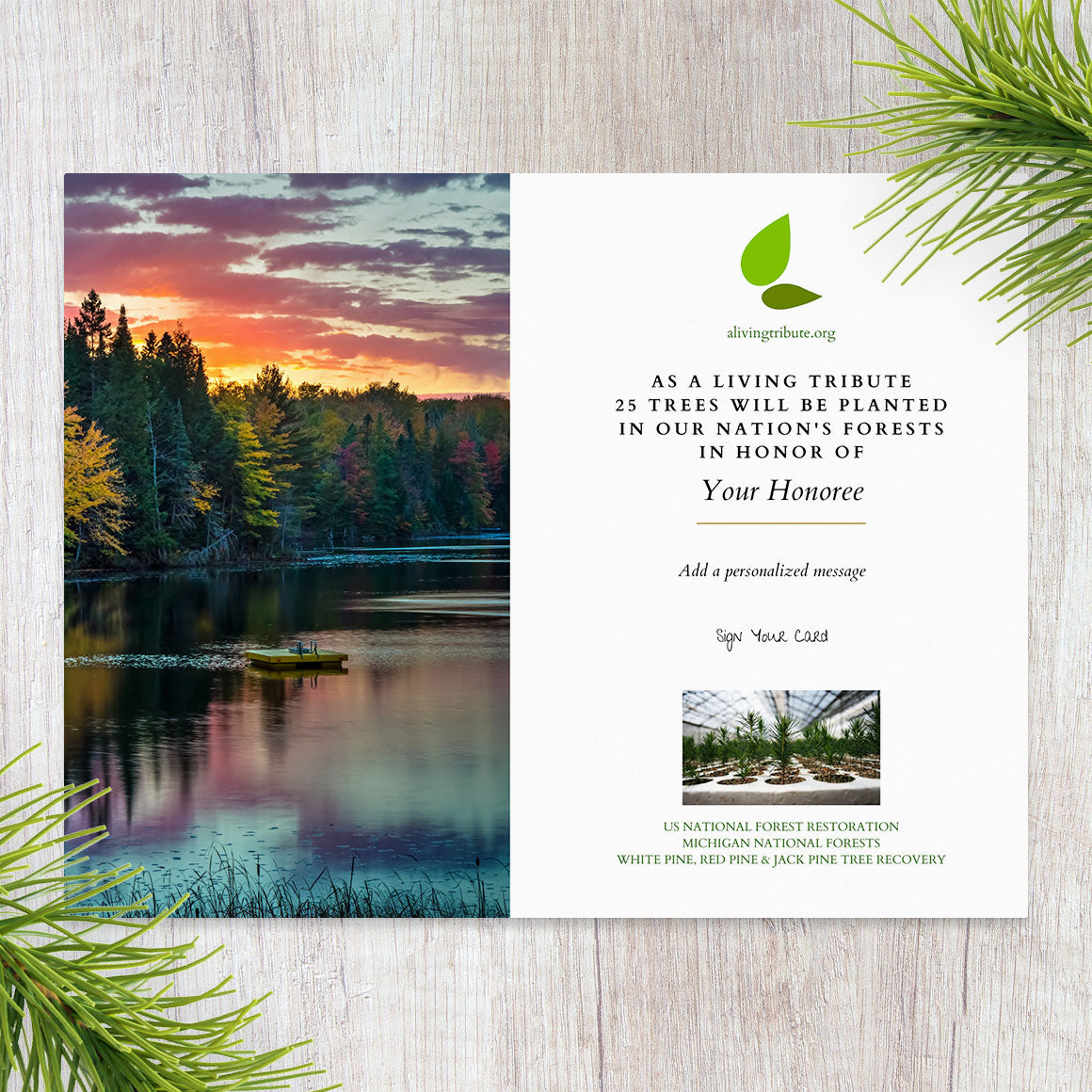 Plant a Tree for Someone in Michigan - Memorial & Tribute Trees | A ...