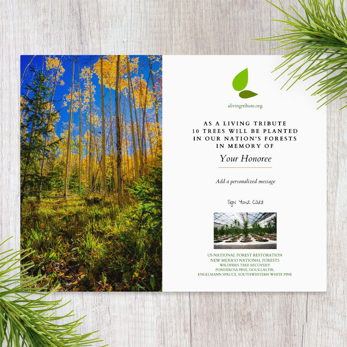 Plant a Tree for Someone in New Mexico - Memorial & Tribute Trees | A ...
