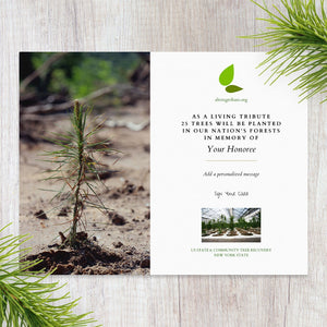 Plant a Tree by Card Style | A Living Tribute