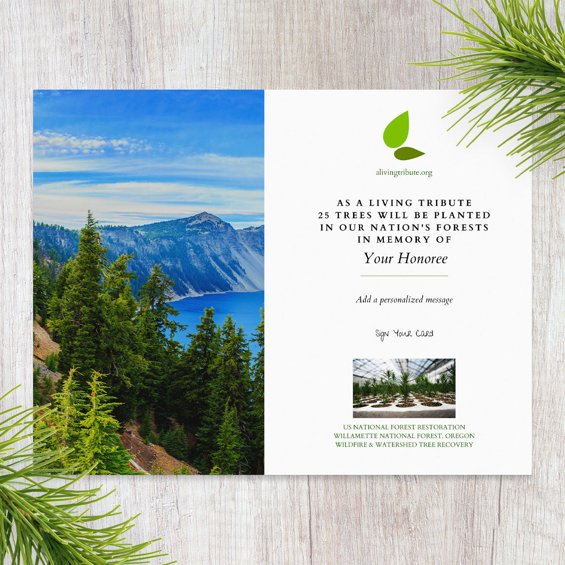Plant a Tree for Someone in Oregon - Memorial & Tribute Trees | A ...