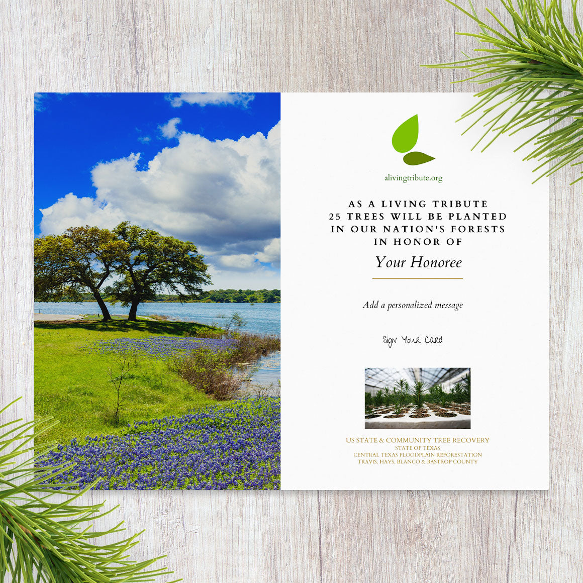Plant a Tree for Someone in Texas - Memorial & Tribute Trees | A Living ...