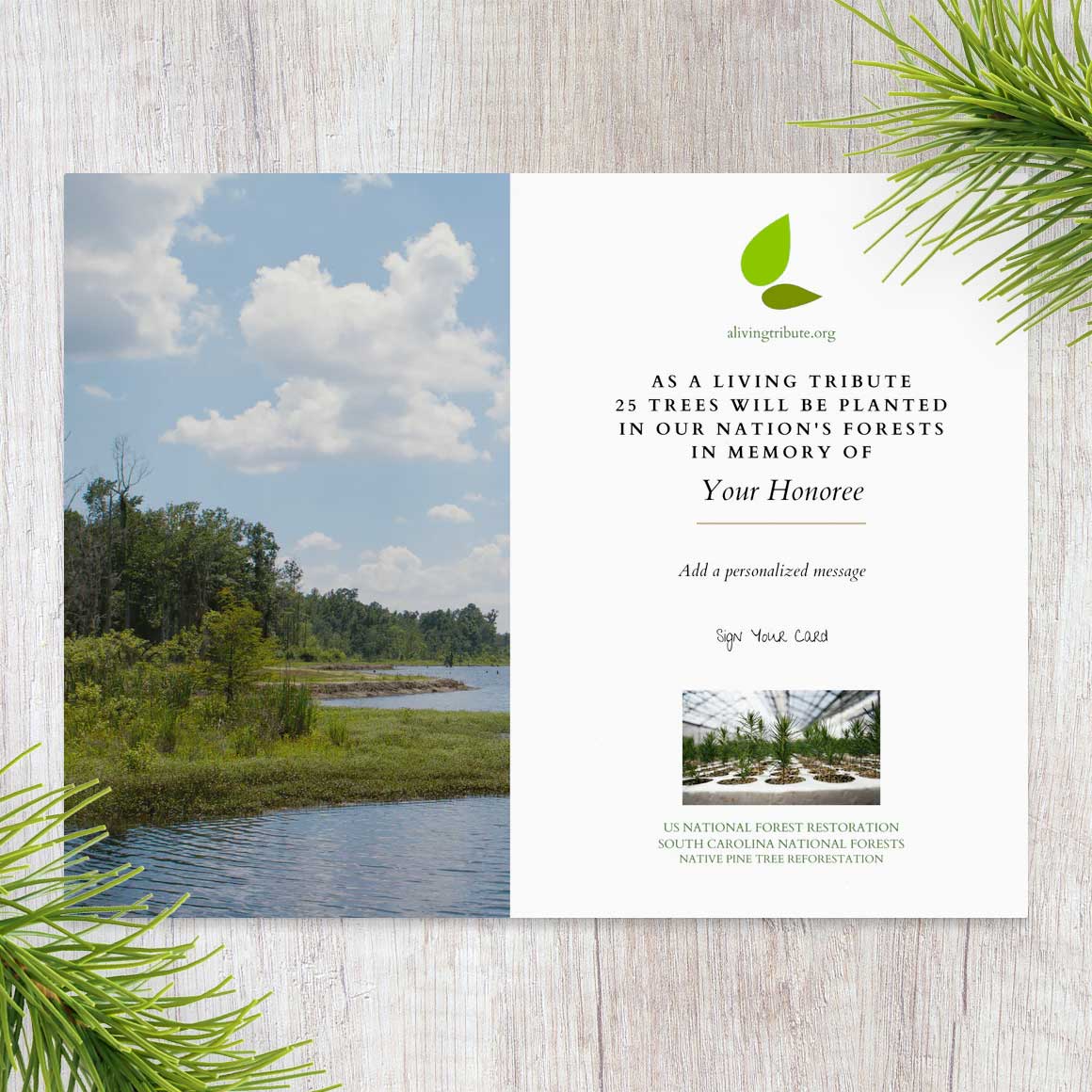 Plant a Tree for Someone in South Carolina - Memorial & Tribute Trees ...