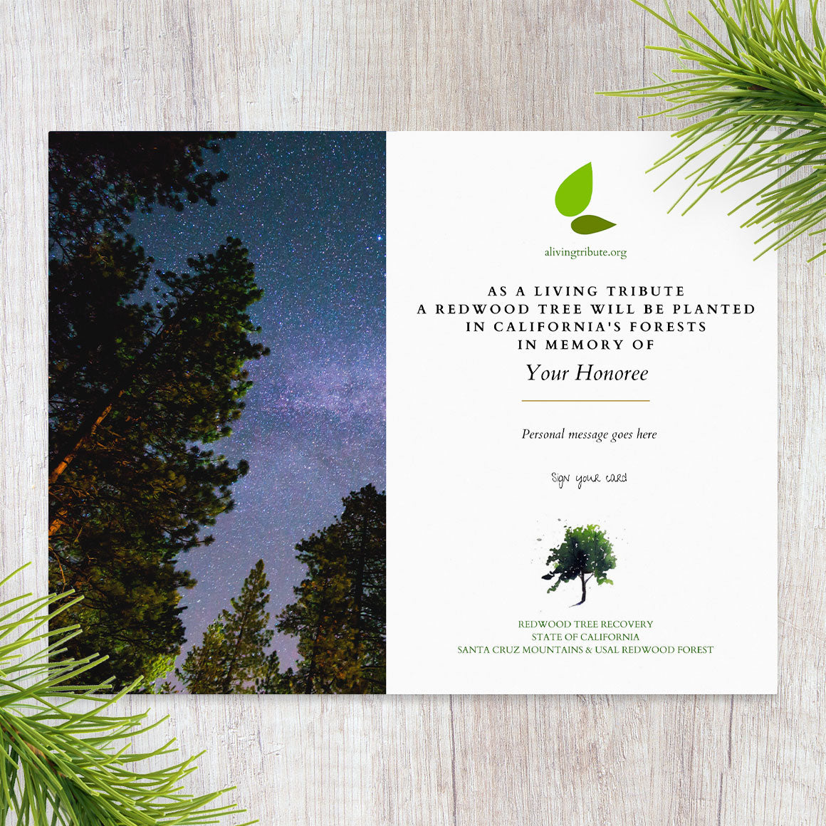 Plant a Redwood Tree in Honor or Memory | A Living Tribute