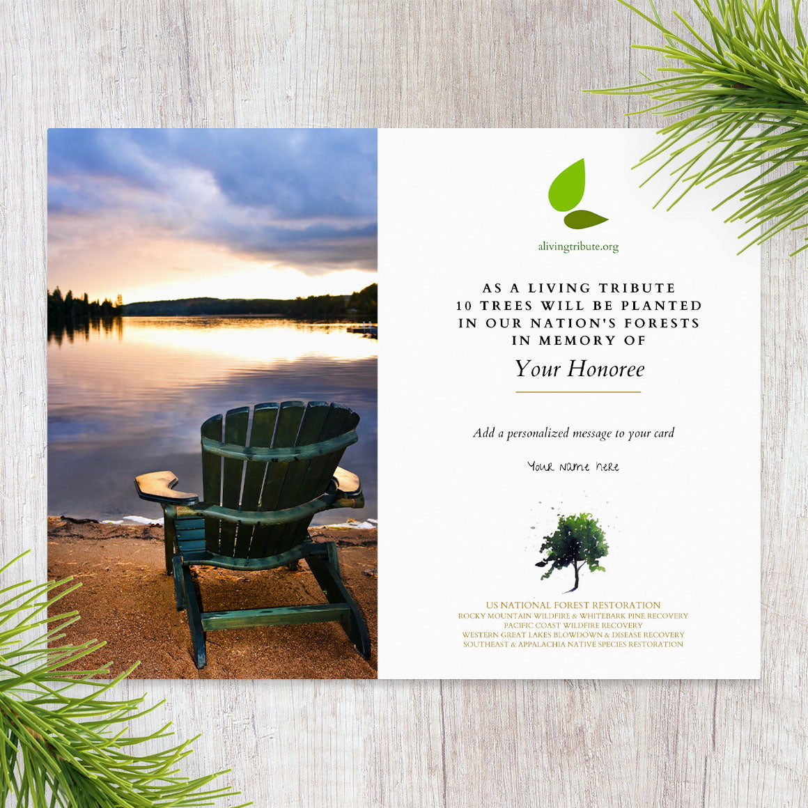 Send a Reforestation Sympathy Card - A Living Tribute® | A Living Tribute
