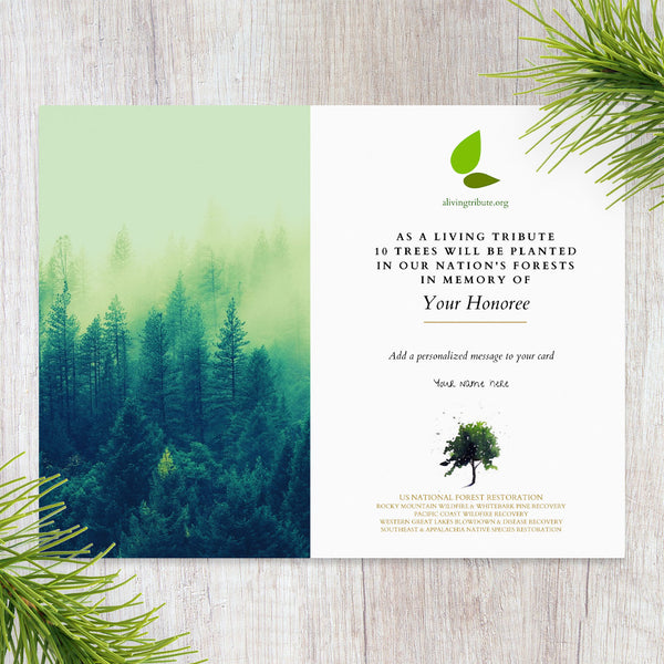 Plant-a-Tree Sympathy Card - Plant a Tree in Memory of a Loved One – A ...