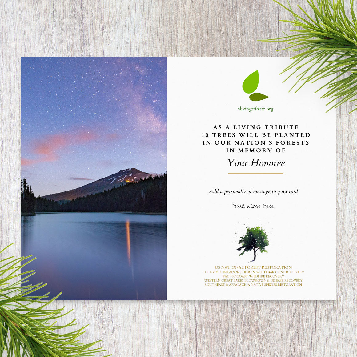 Send a Reforestation Sympathy Card - A Living Tribute® | A Living Tribute