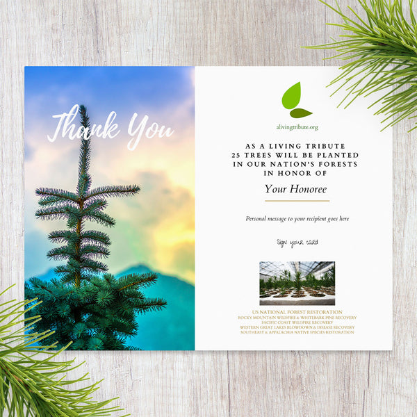 Plant-a-Tree Thank You Card – A Living Tribute