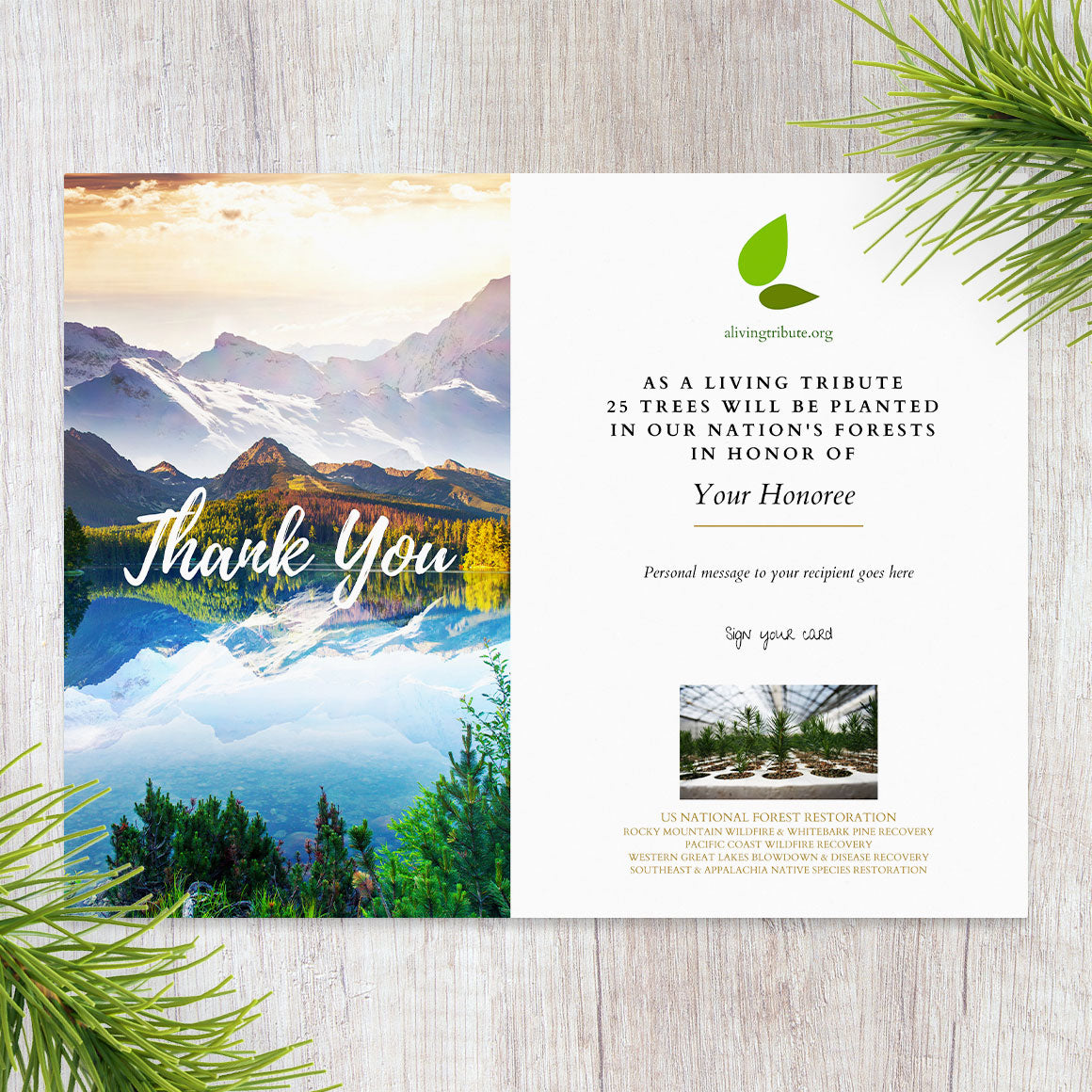 Plant a Tree by Card Style | A Living Tribute