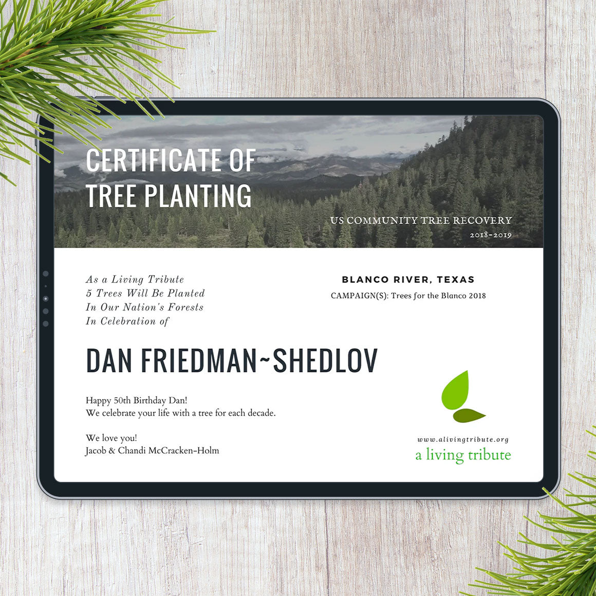 Plant-a-Tree Gift w/ E-Certificate | A Living Tribute