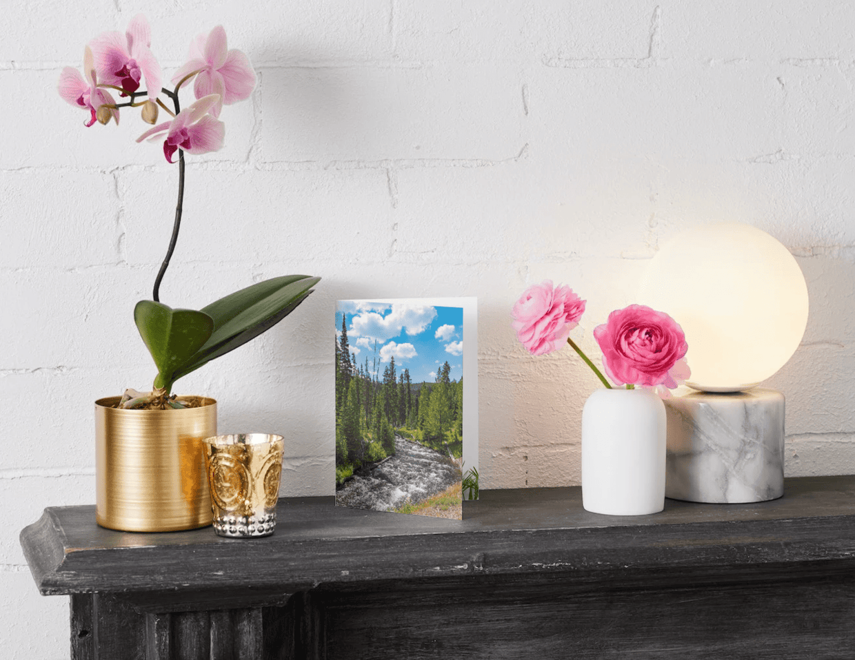 Plant-a-Tree Cards | A Living Tribute