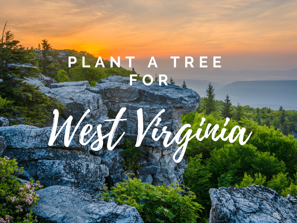 Plant a Tree for Someone in West Virginia - Memorial & Tribute Trees ...