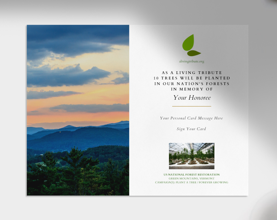 Plant a Tree for Someone in Vermont - Memorial & Tribute Trees | A ...