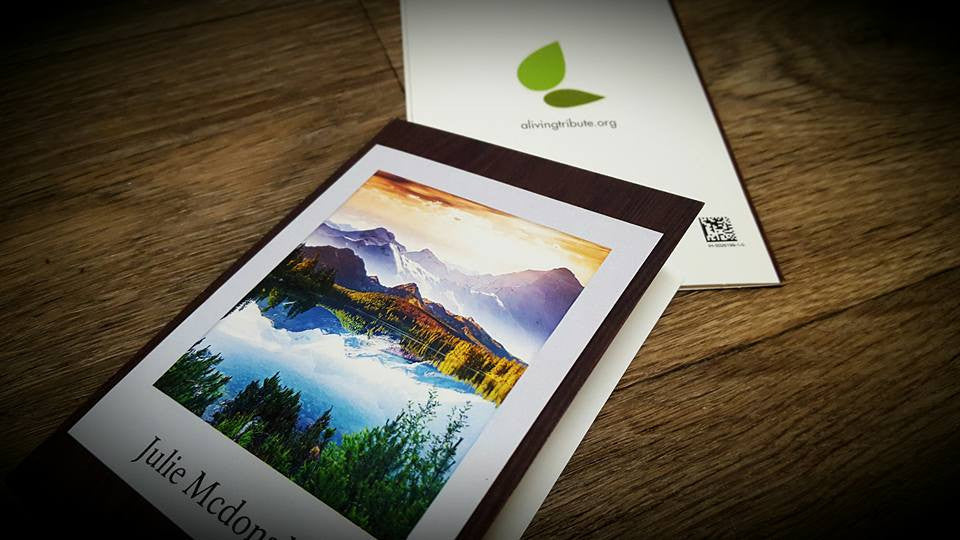 Plant a Tree in Honor of Someone - A Living Tribute Tree Gift | A ...