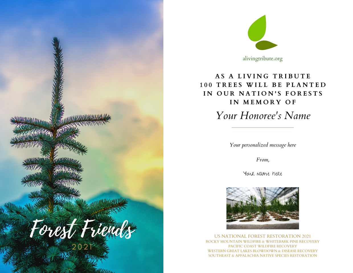 Forest Friends Tree Gift - A Living Tribute | A Living Tribute