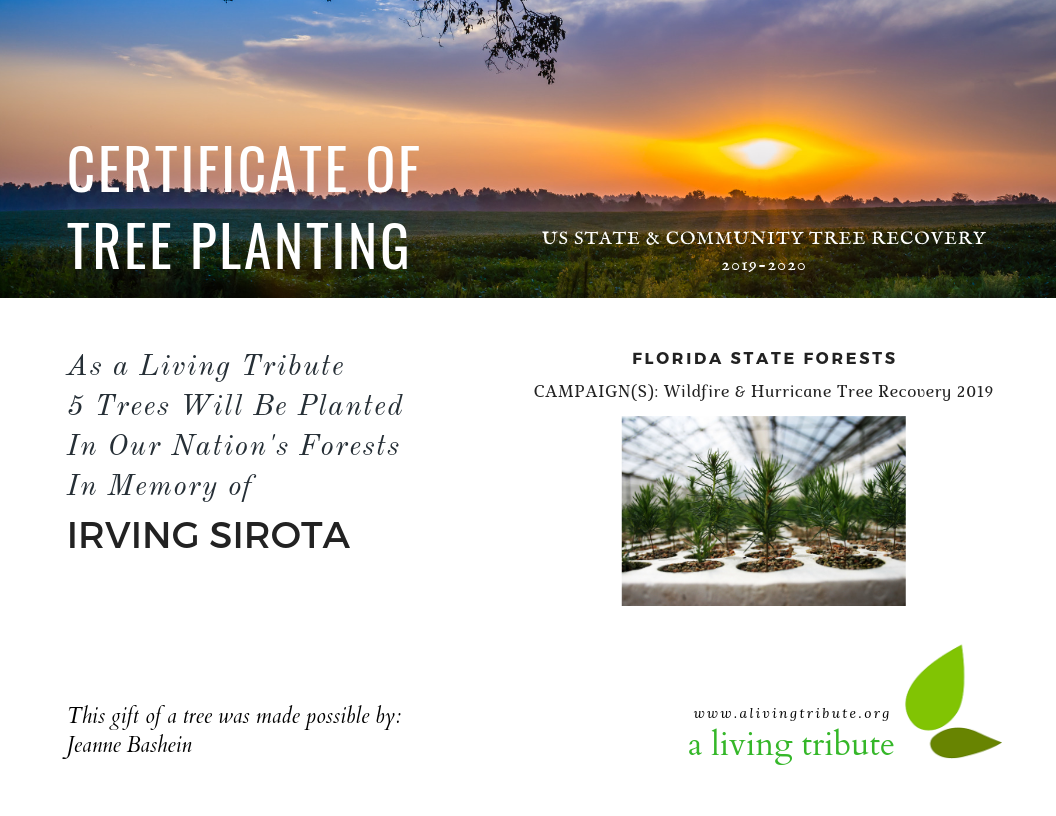 Plant-a-Tree Gift w/ E-Certificate | A Living Tribute