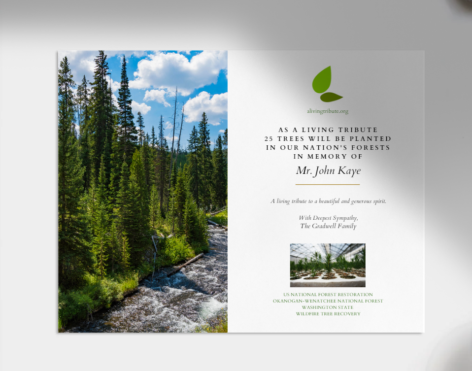 Plant-a-Tree Gift with FSC Certified Photo Card | A Living Tribute