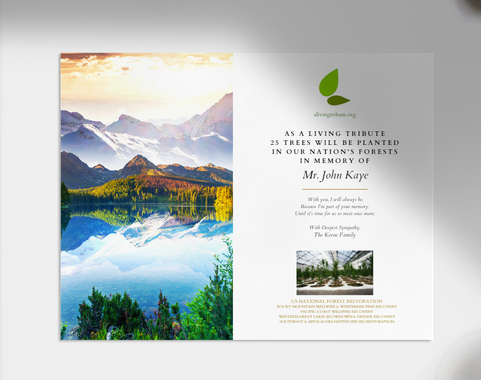 Plant-a-Tree Gift with FSC Certified Photo Card | A Living Tribute