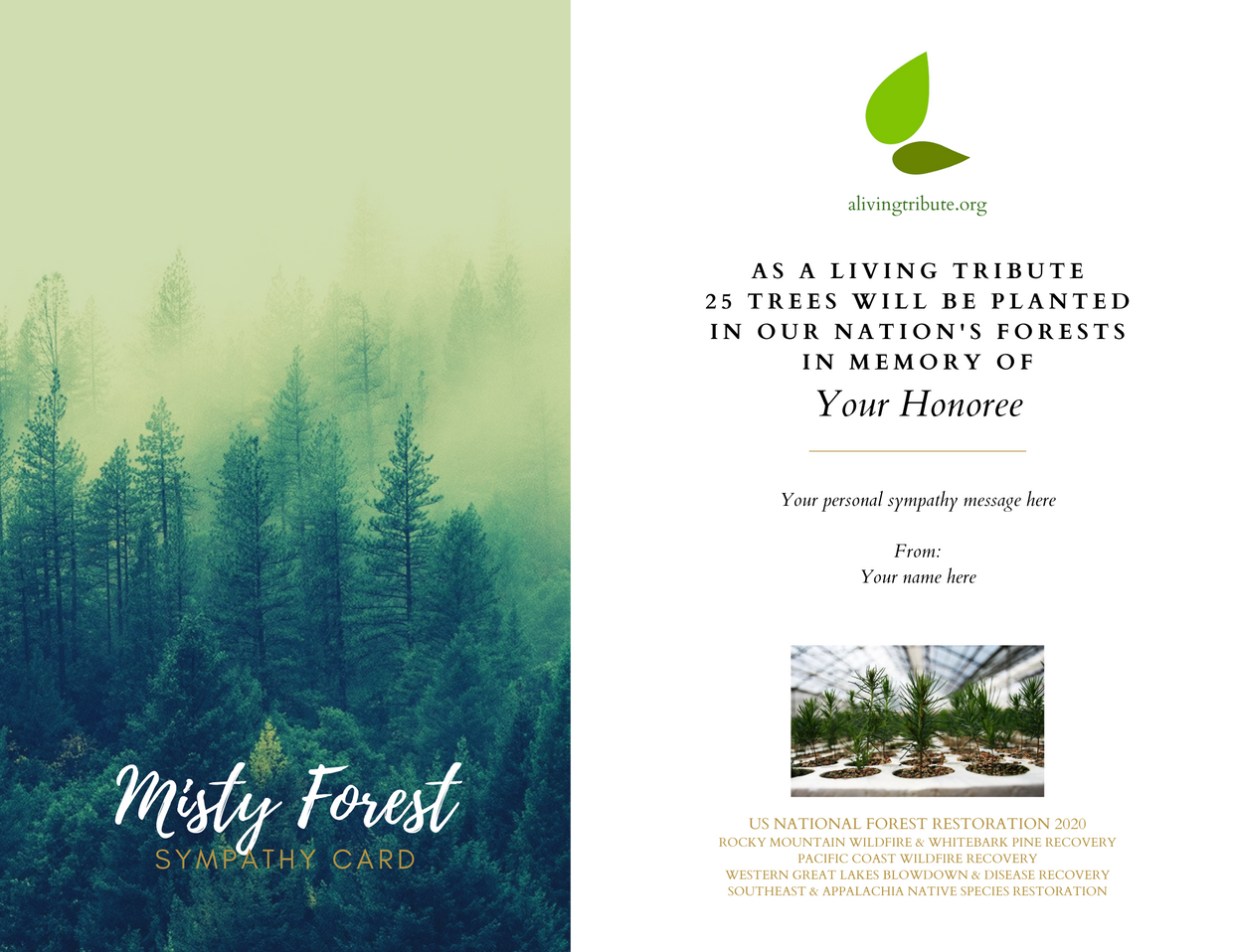 Send a Reforestation Sympathy Card - A Living Tribute® | A Living Tribute