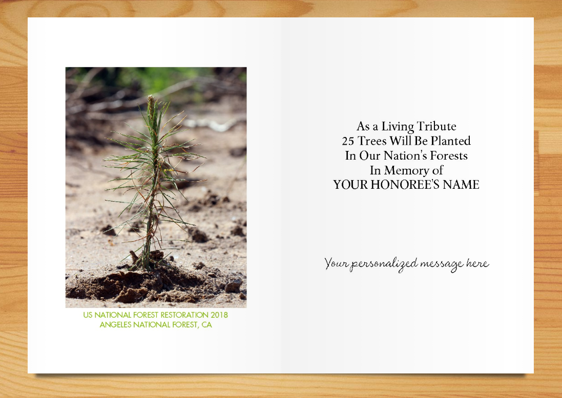 Plant-a-Tree Gift with FSC Certified Photo Card | A Living Tribute