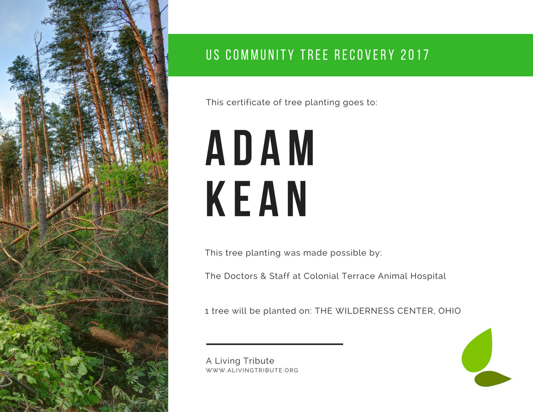 Plant-a-Tree Gift w/ E-Certificate | A Living Tribute