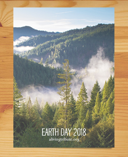 Plant a Tree for Earth Day 2024 - A Living Tribute
