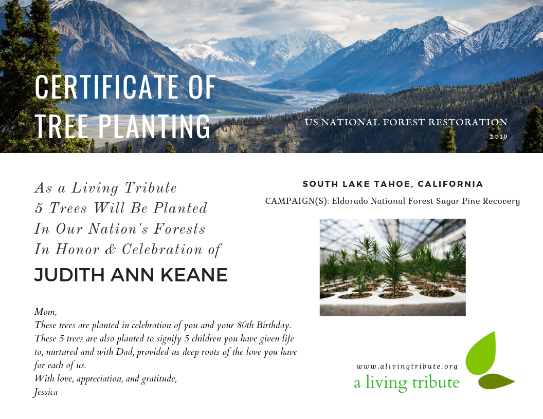 Plant-a-Tree Gift w/ E-Certificate | A Living Tribute