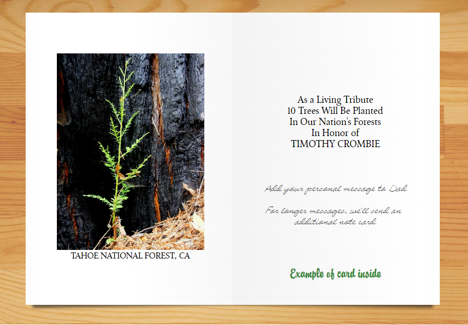 Plant-a-Tree Card for Father's Day | A Living Tribute