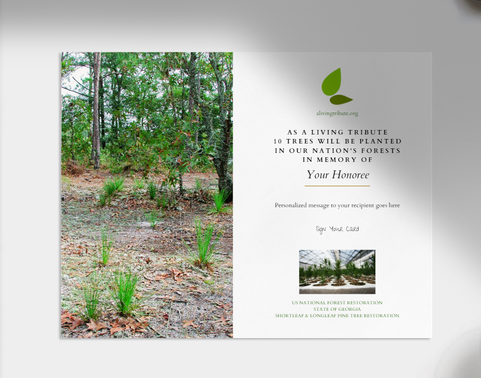 Plant a Tree for Someone in Georgia - Memorial & Tribute Trees | A ...