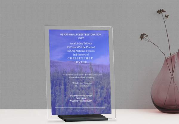 Plant-a-Tree Gift with Deluxe Glass Display Frame – A Living Tribute