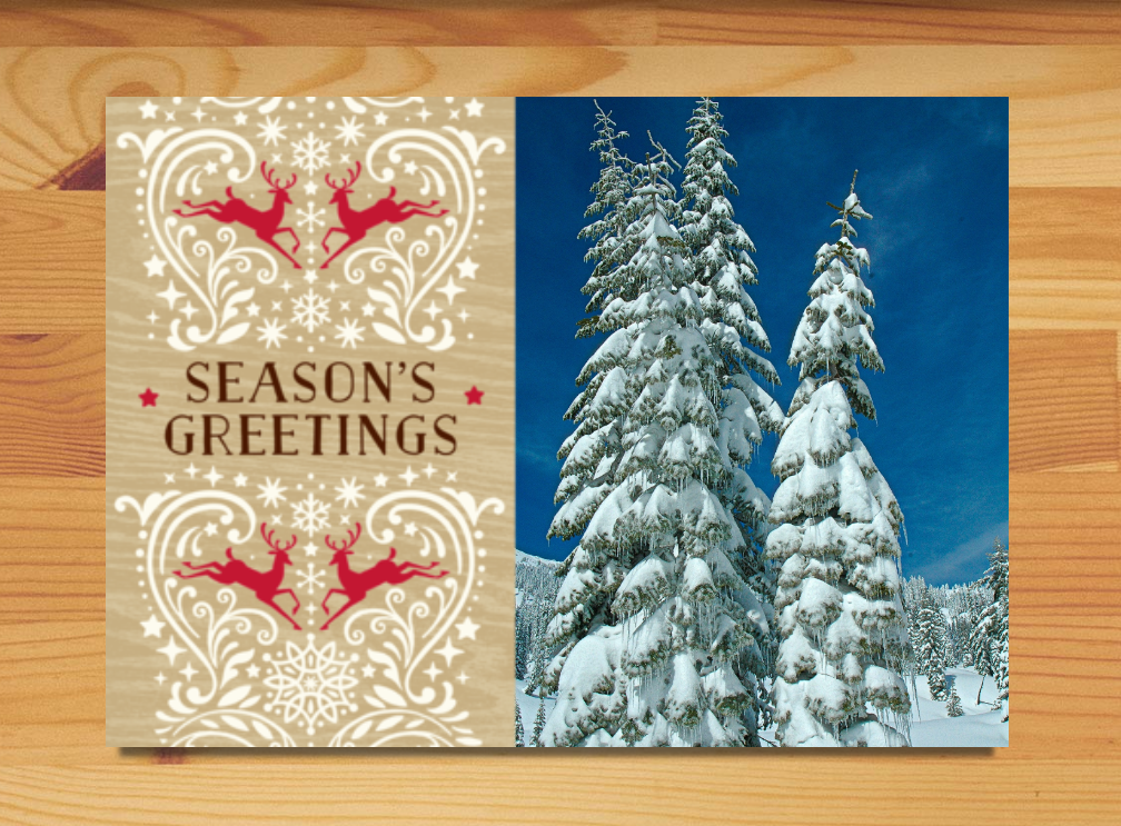 Plant a Tree Holiday Card | A Living Tribute