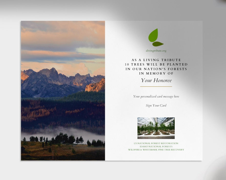Plant a Tree for Someone in Idaho - Memorial & Tribute Trees | A Living ...
