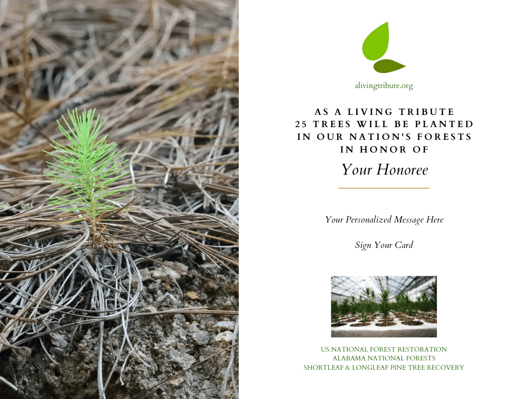 Plant a Tree for Someone in Alabama - Memorial & Tribute Trees | A ...