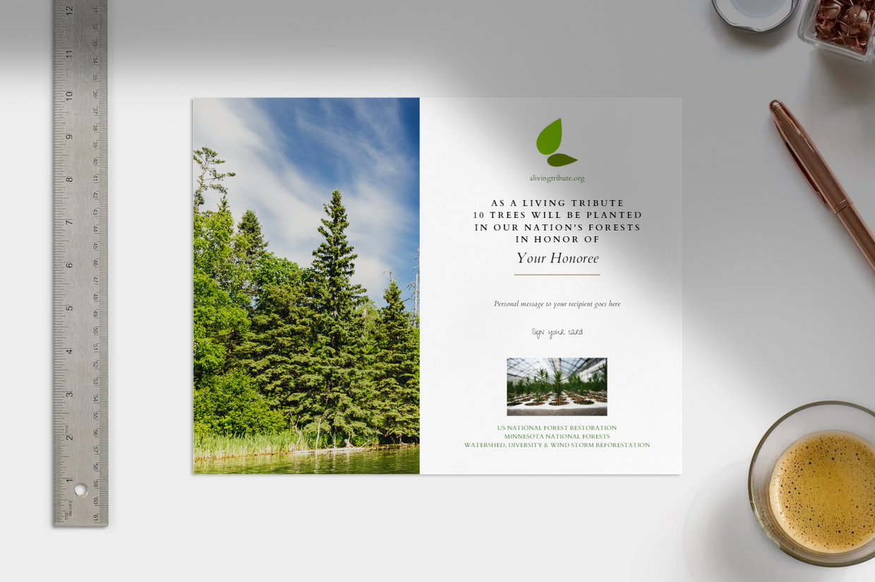 Plant a Tree for Someone in Minnesota - Memorial & Tribute Trees | A ...