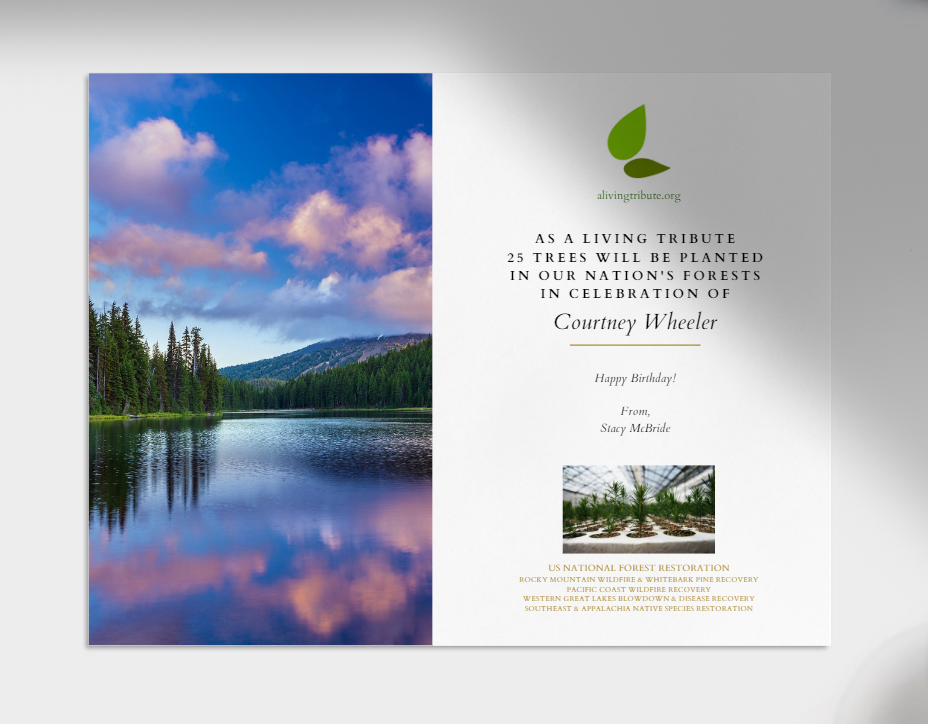 Plant a Tree for Birthday Gift - A Living Tribute | A Living Tribute