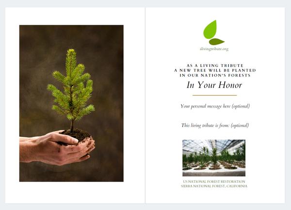 Plant-a-Tree Cards – A Living Tribute