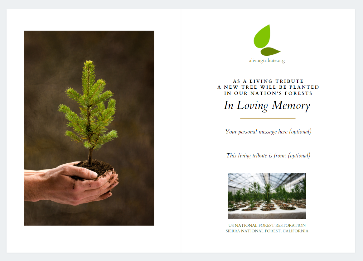 Plant-a-Tree Cards | A Living Tribute