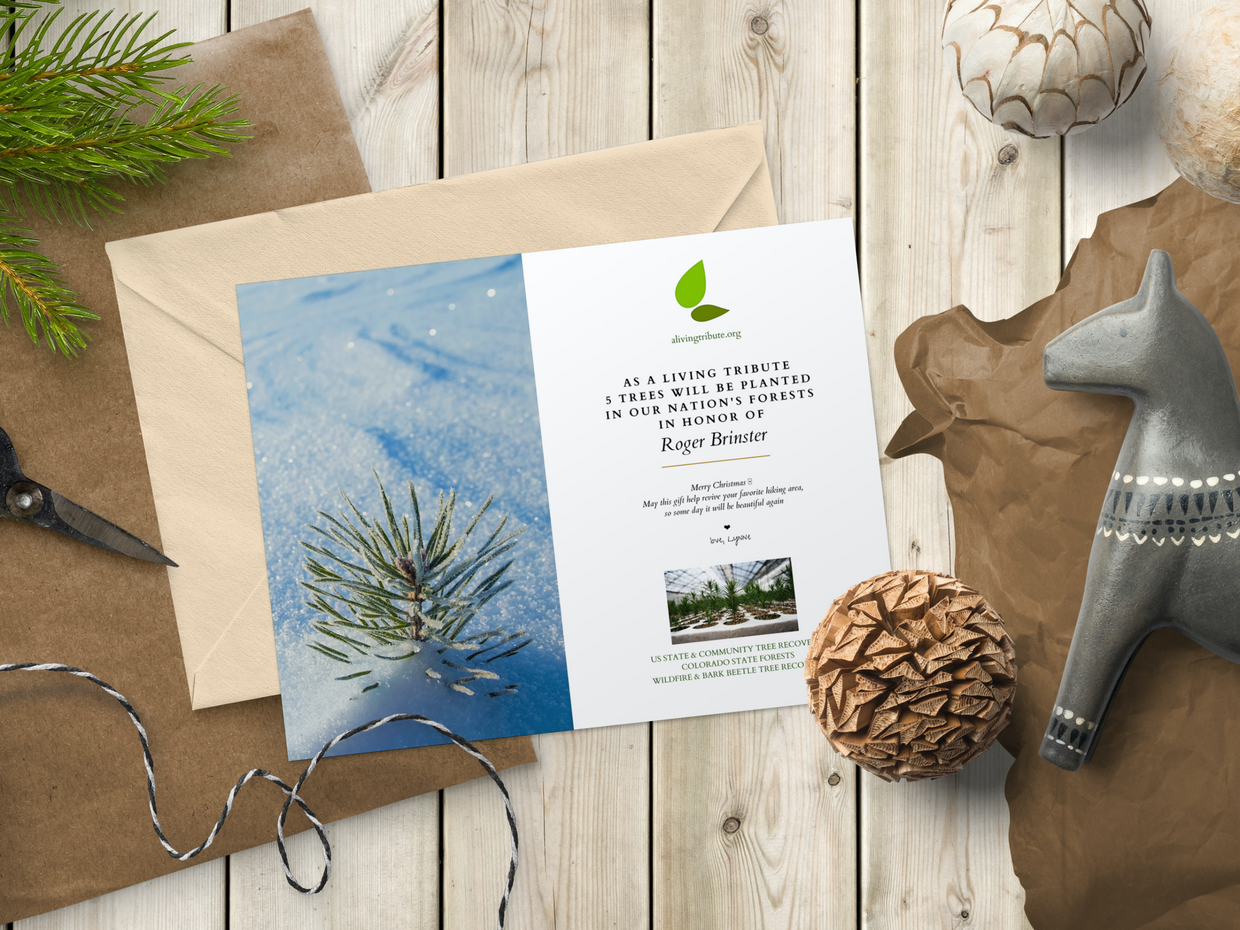 Plant a Tree Holiday Card | A Living Tribute