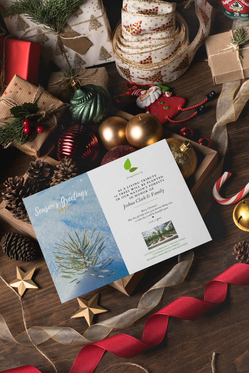 Plant a Tree Holiday Card | A Living Tribute
