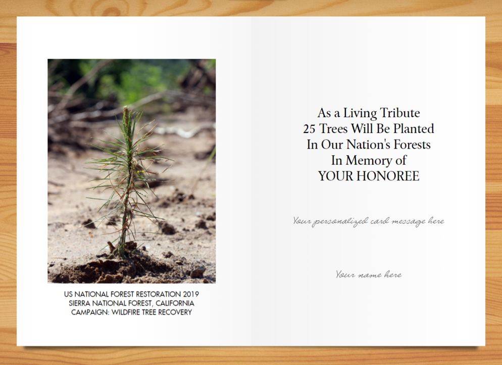 Send a Reforestation Sympathy Card - A Living Tribute® | A Living Tribute